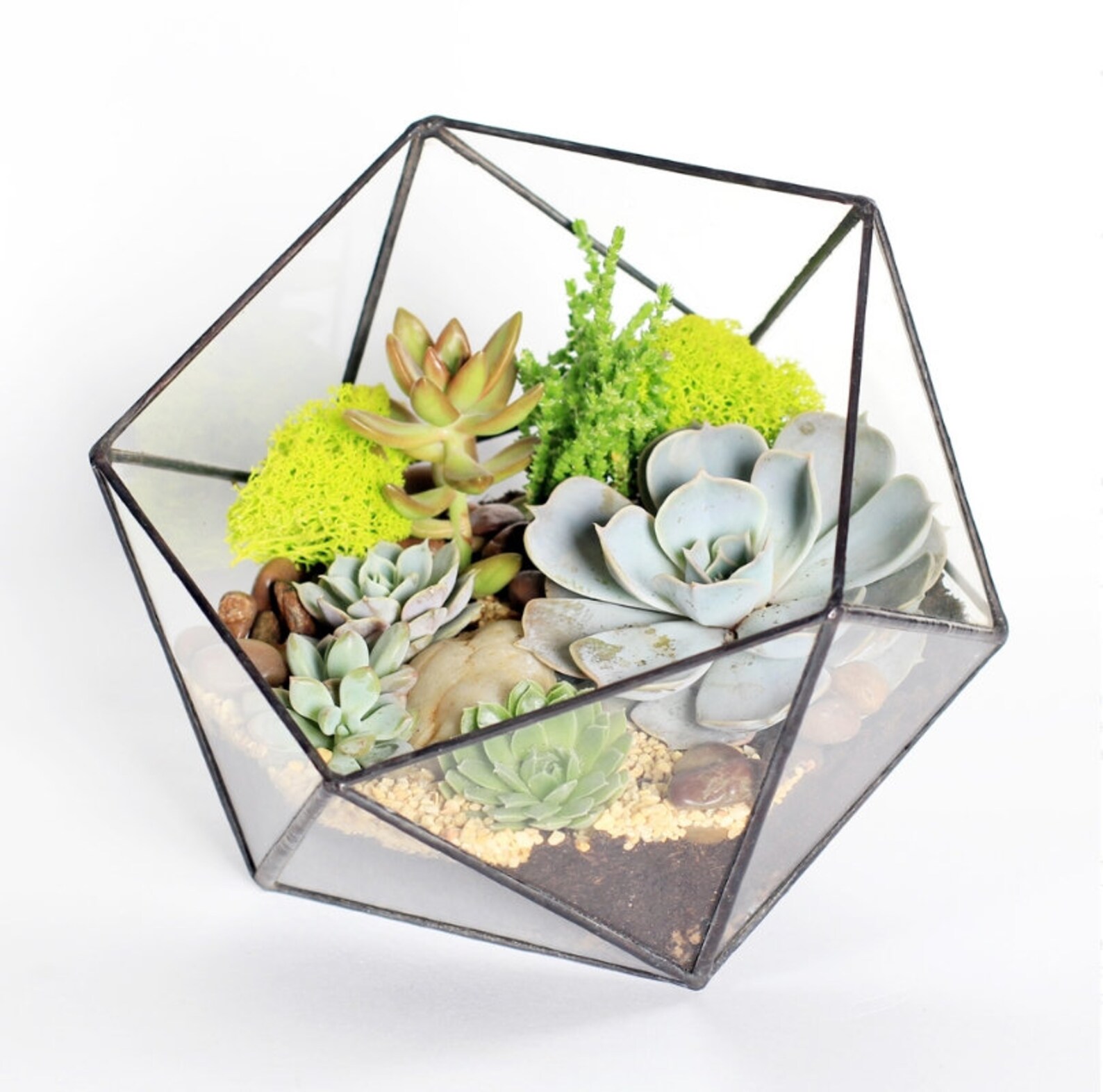 Digital Drawing for Printing! Stained Glass Terrarium. Project 42 (M ...