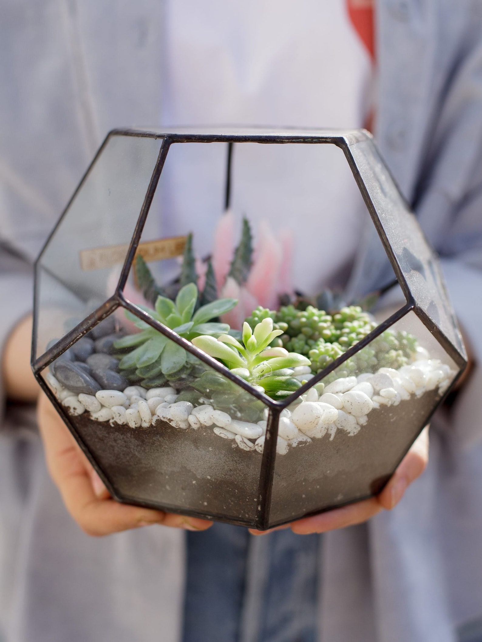 Digital Drawing for Printing! Stained Glass Terrarium. Project 26 - Etsy
