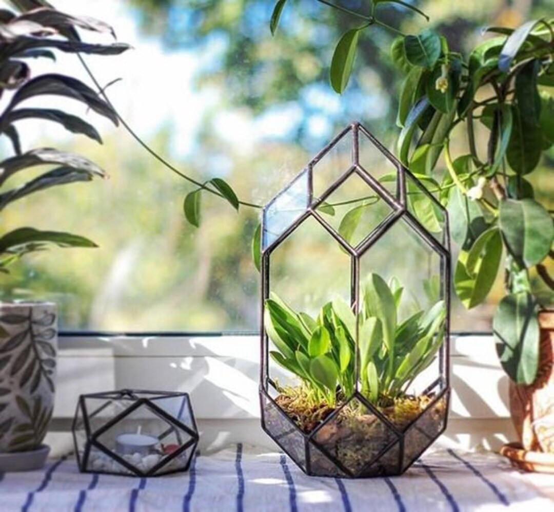 Digital Drawing for Printing! Stained Glass Terrarium. Project 499 - Etsy