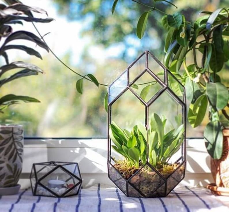 Digital Drawing for Printing! Stained Glass Terrarium. Project 499 - Etsy