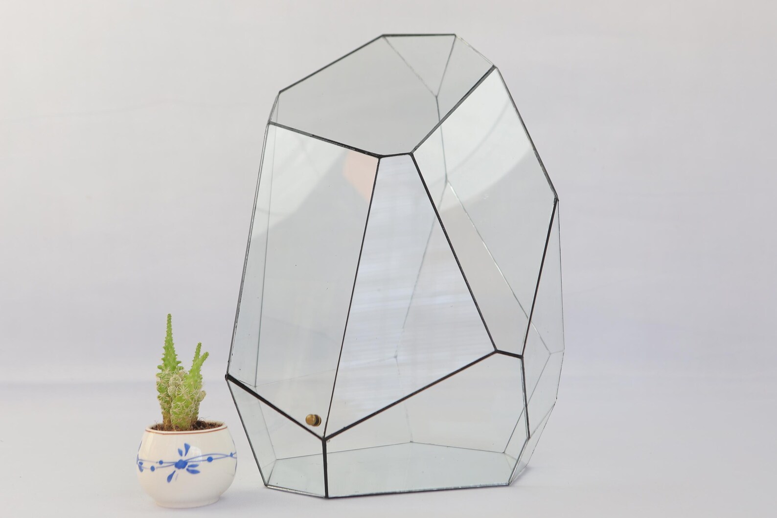 Digital Drawing for Printing! Stained Glass Terrarium. Project 25 - Etsy