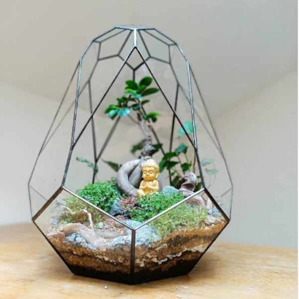 Glass Terrarium - Etsy