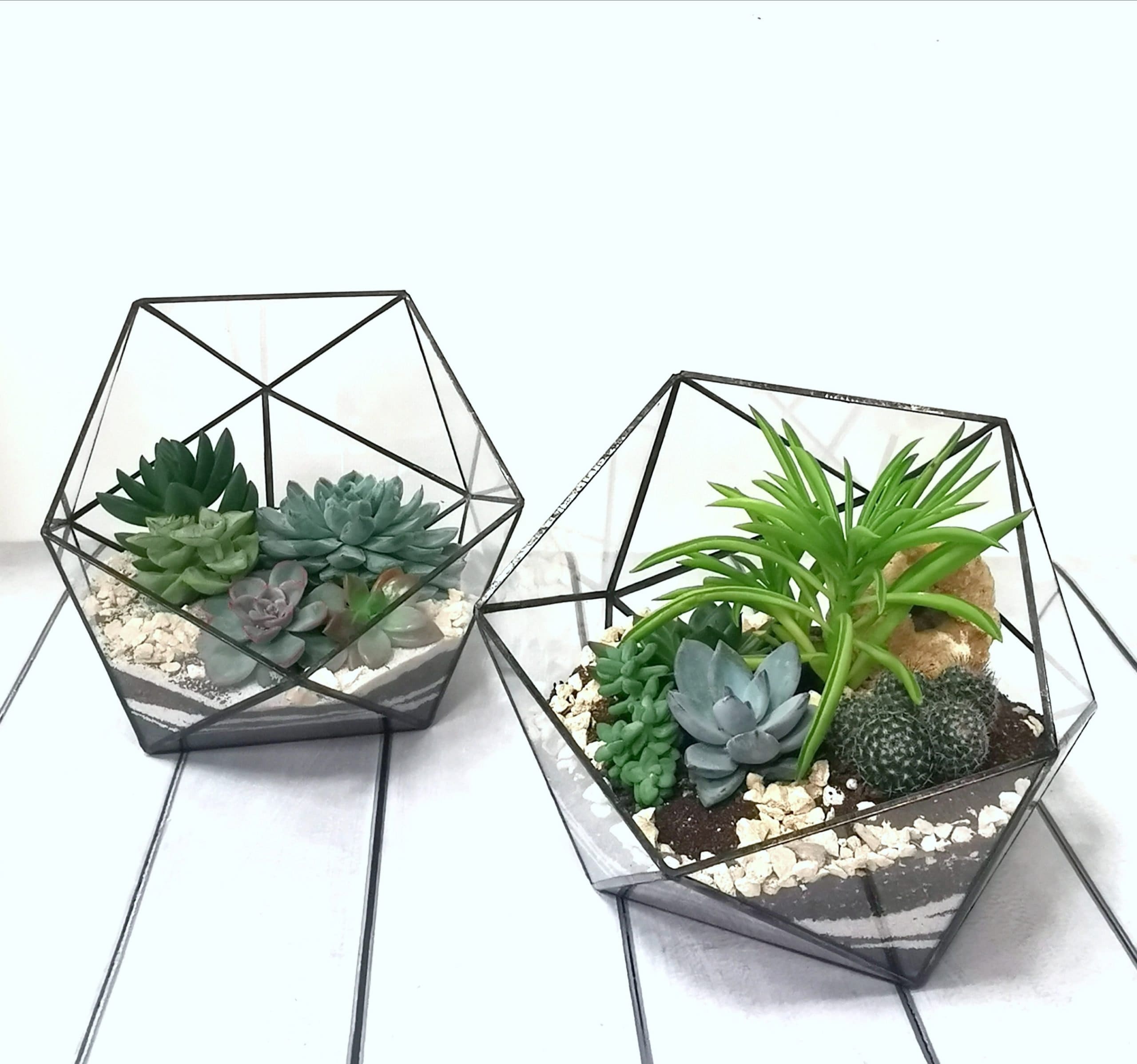 Digital Drawing for Printing! Stained Glass Terrarium. Project 42 (M ...