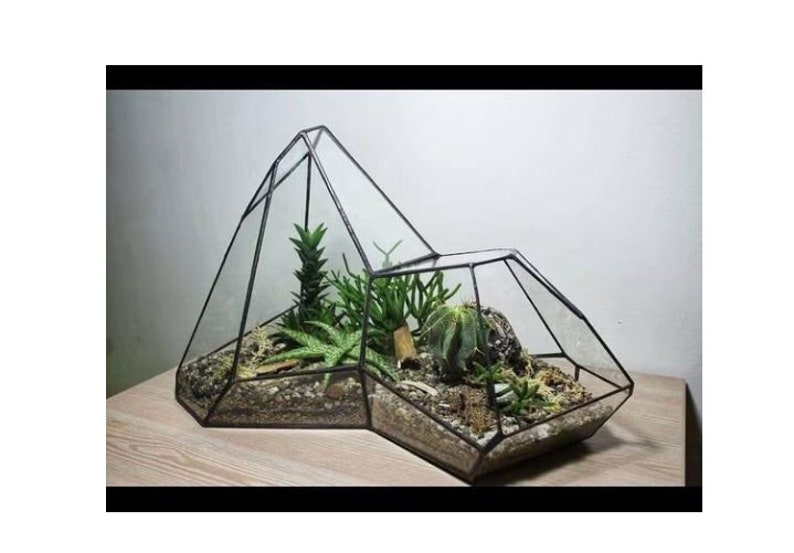 Digital Drawing for Printing! Stained Glass Terrarium. Project 177 - Etsy