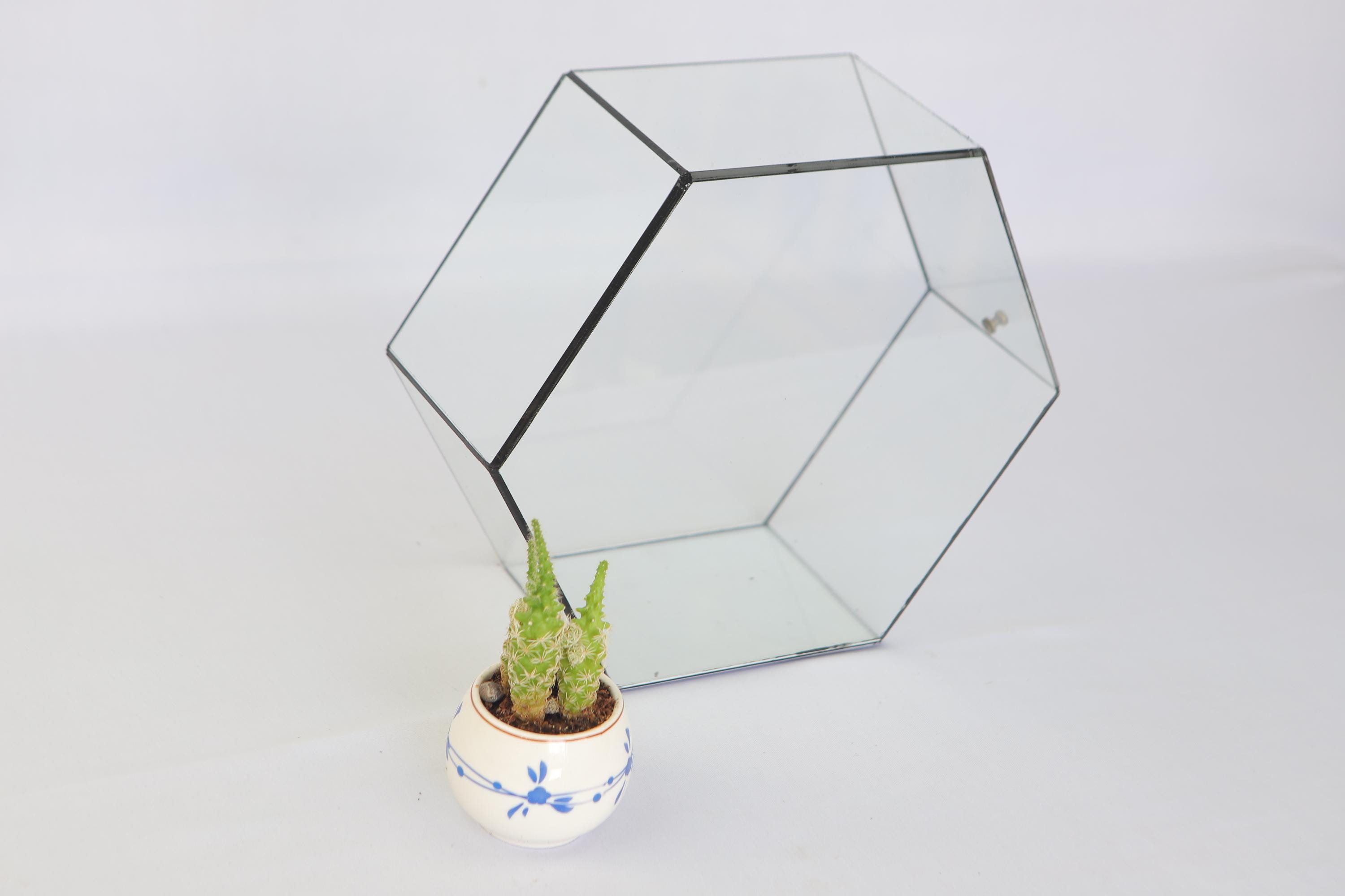 Digital Drawing for Printing! Stained Glass Terrarium. Project 206 - Etsy