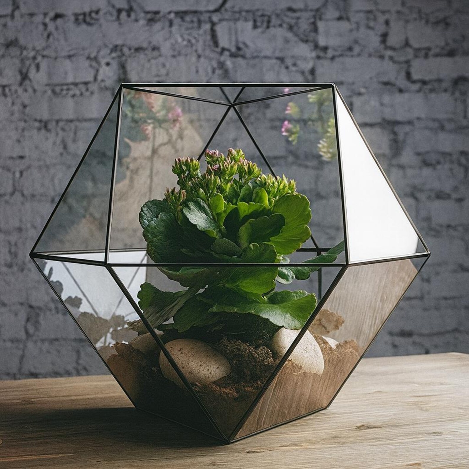 Digital Drawing for Printing! Stained Glass Terrarium. Project 171 (S ...