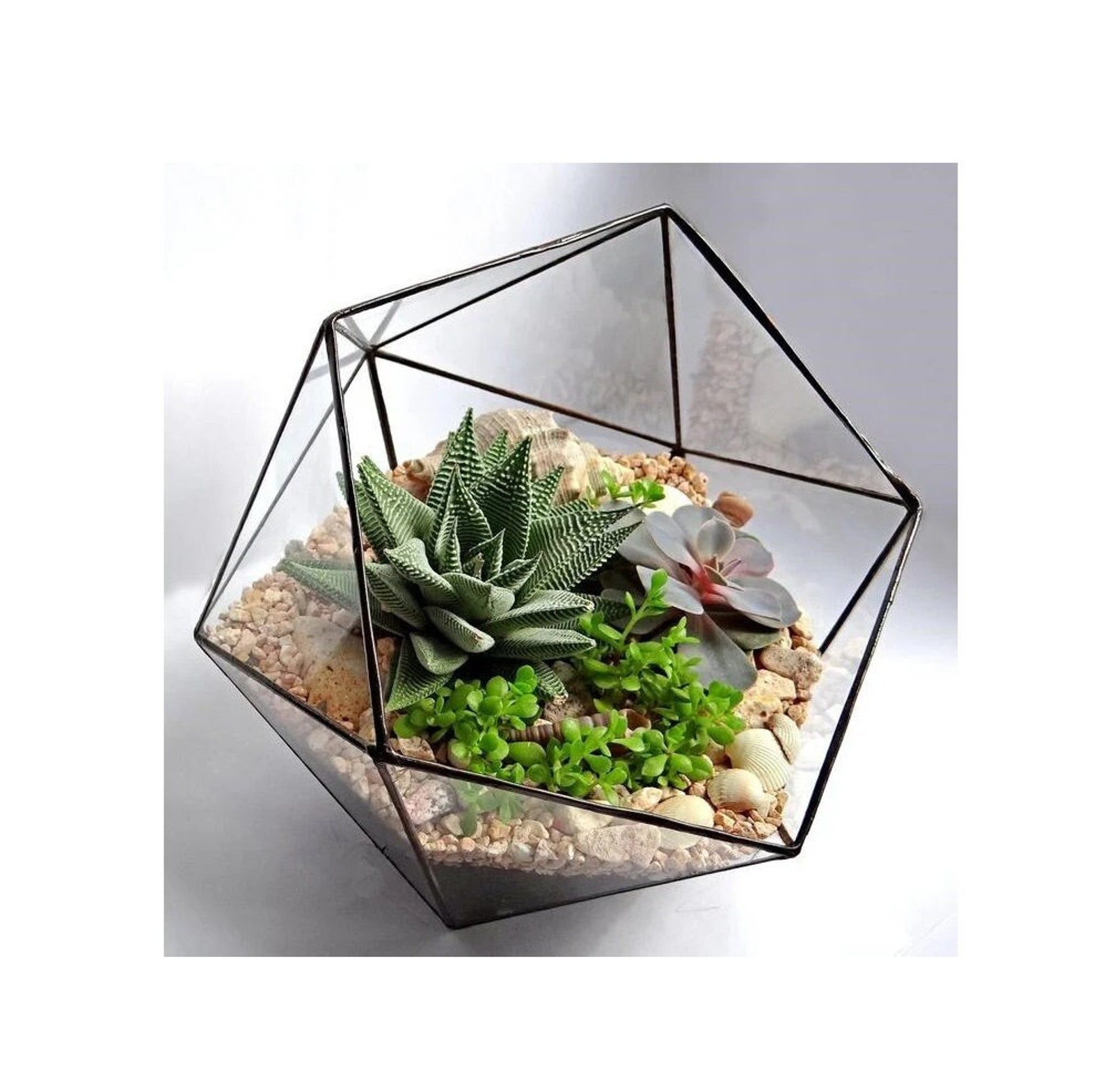 Digital Drawing for Printing! Stained Glass Terrarium. Project 42 (M ...