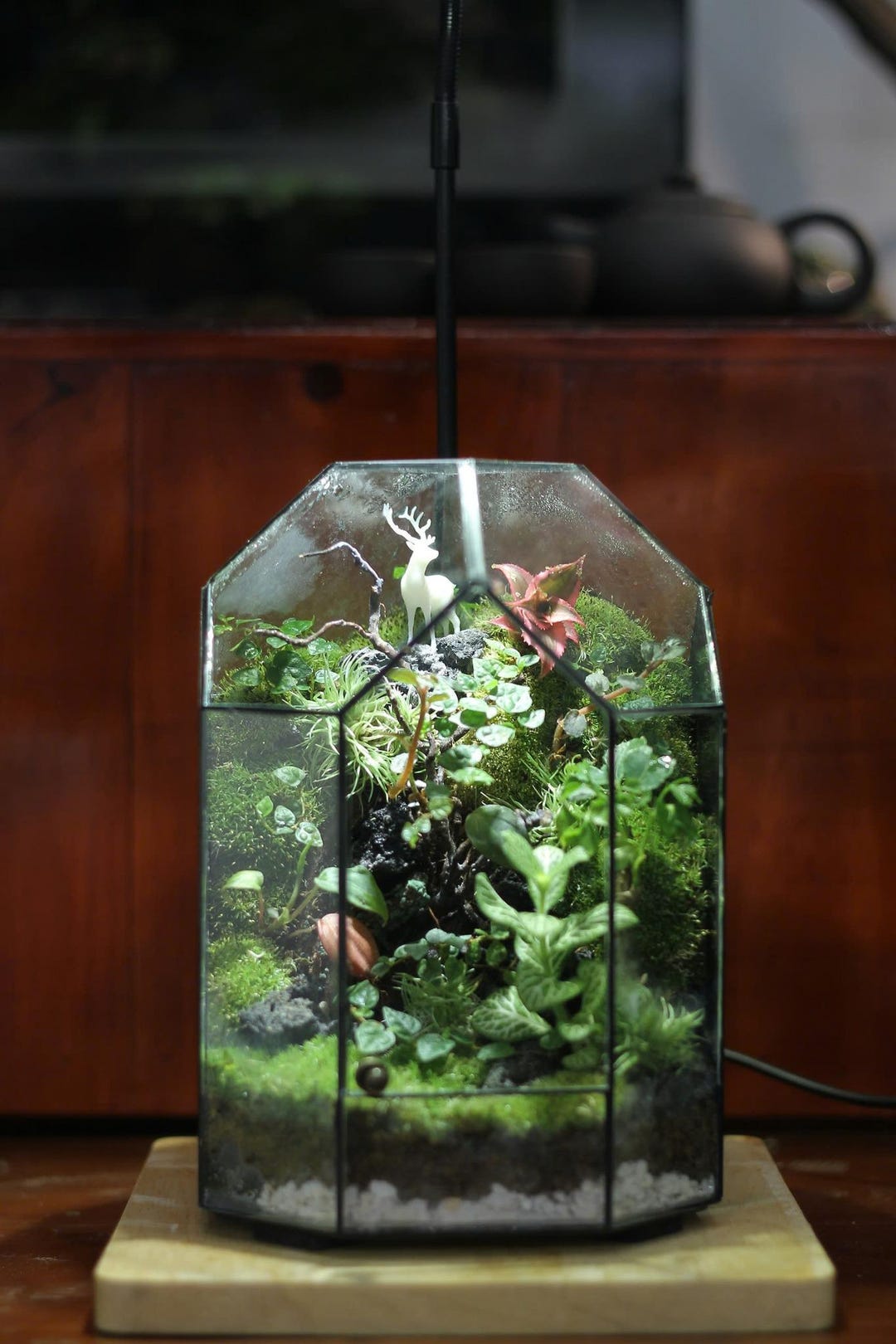 Digital Drawing for Printing! Stained Glass Terrarium. Project 189 (M ...