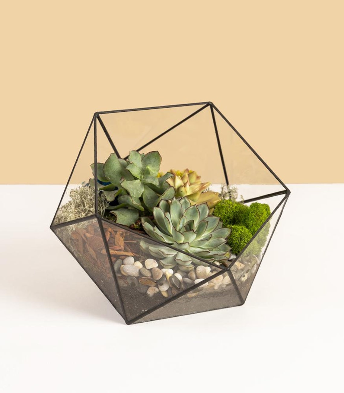Digital Drawing for Printing! Stained Glass Terrarium. Project 42 (M ...