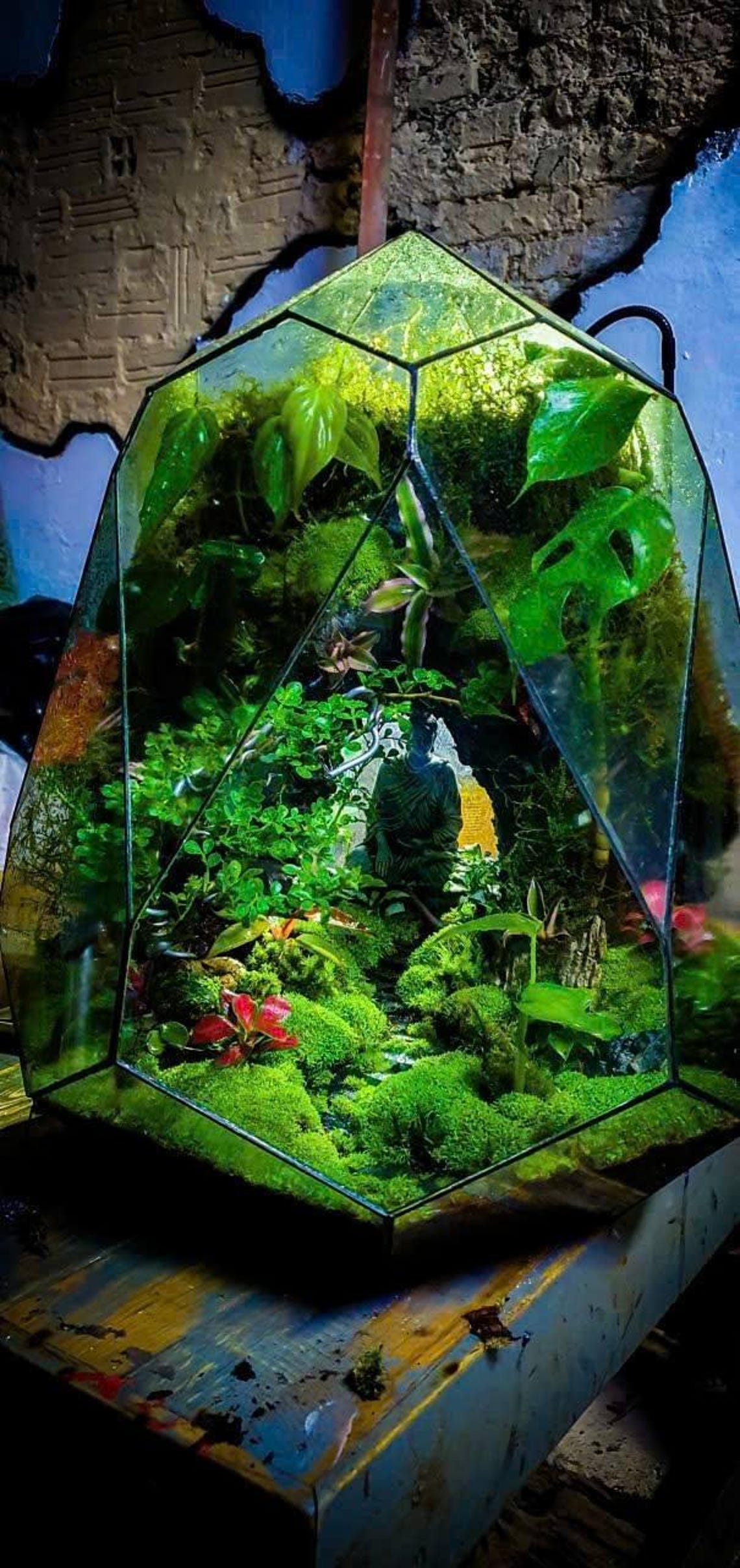 Digital Drawing for Printing! Stained Glass Terrarium. Project 470 (S ...