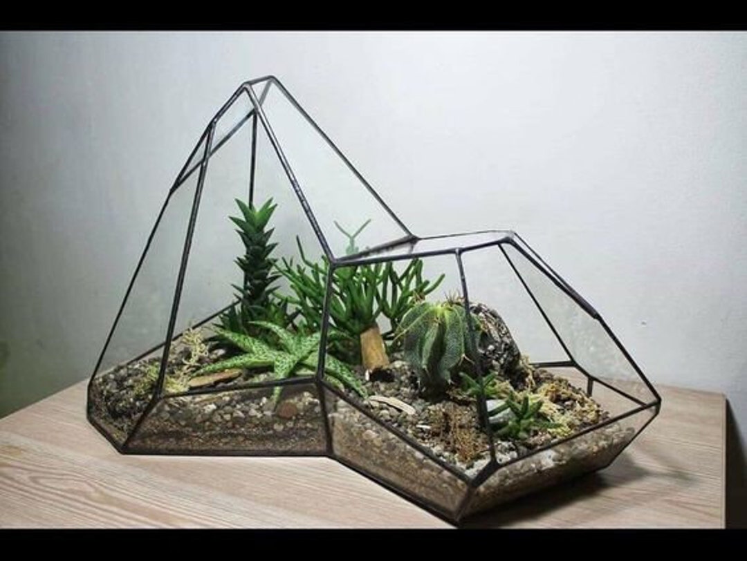 Digital Drawing for Printing Stained Glass Terrarium. Project 177 - Etsy