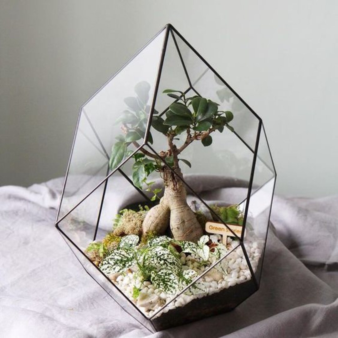 Digital Drawing for Printing Stained Glass Terrarium. Project - Etsy