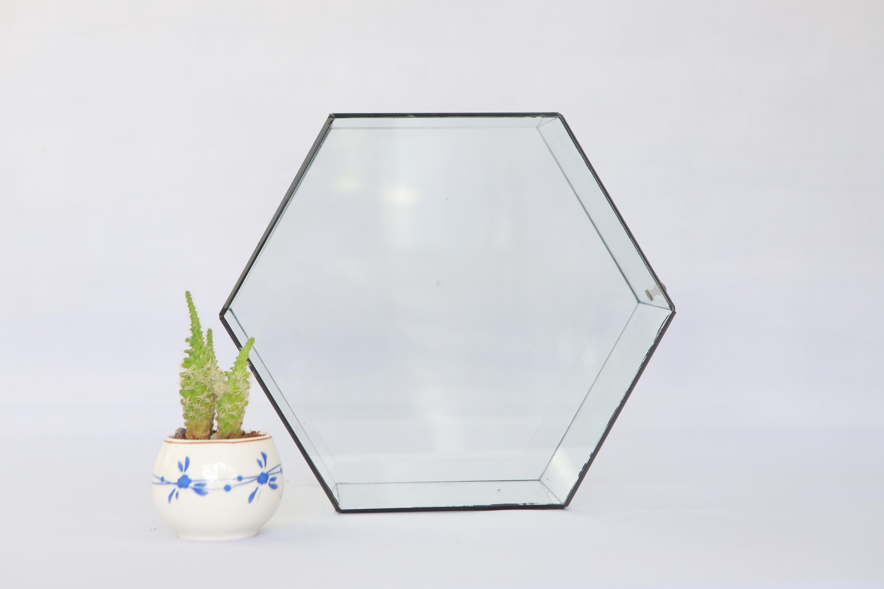 Digital Drawing for Printing! Stained Glass Terrarium. Project 206 - Etsy