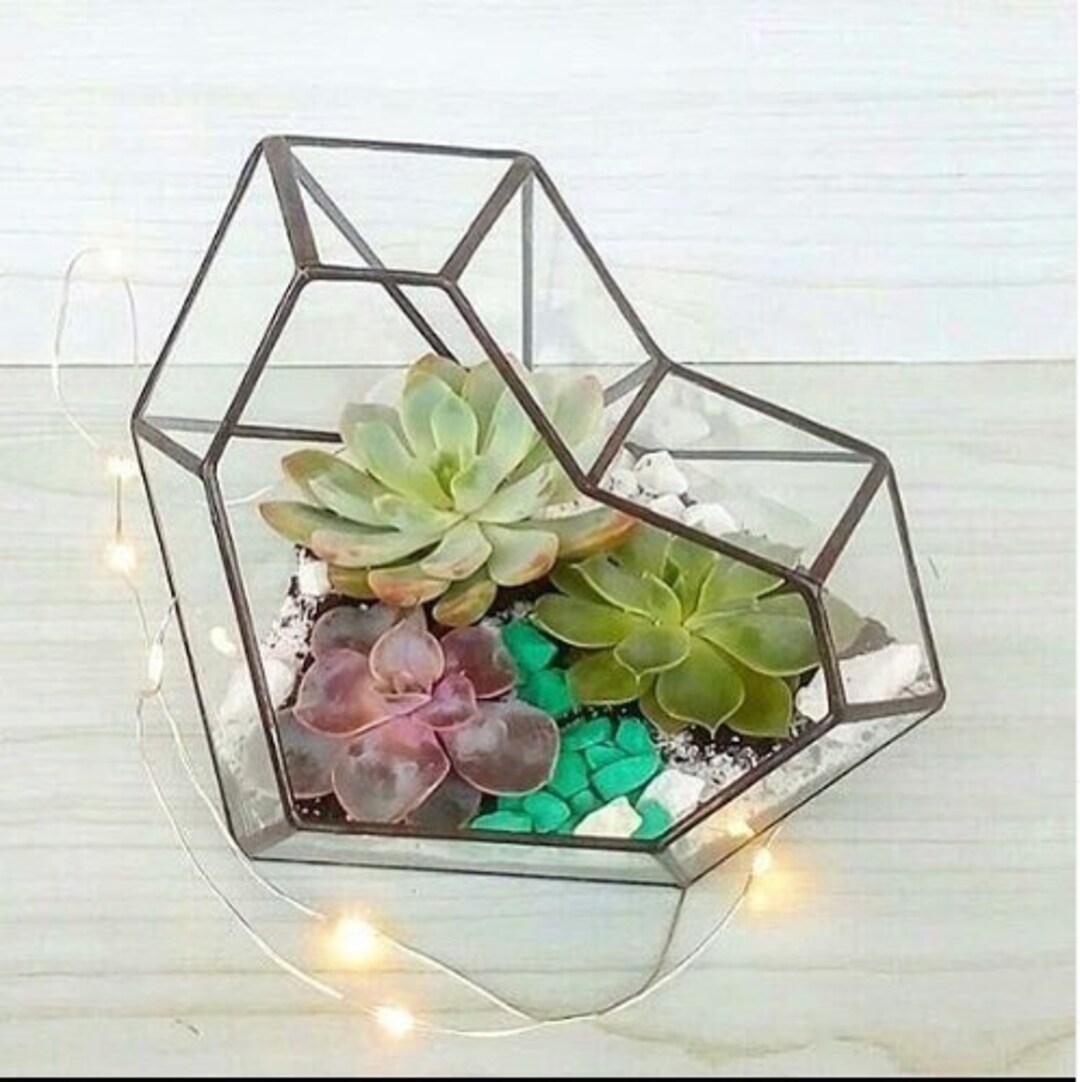 Digital Drawing for Printing! Stained Glass Terrarium. Project 266 - Etsy