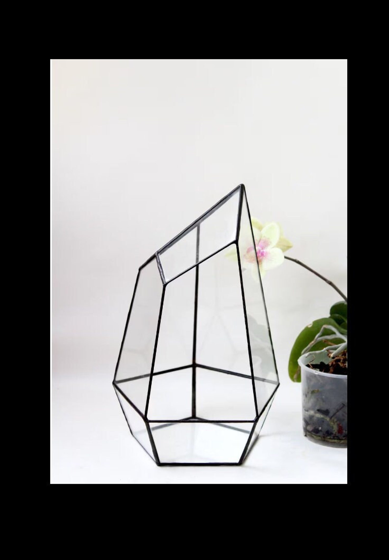 Digital Drawing for Printing! Stained Glass Terrarium. Project 256 - Etsy