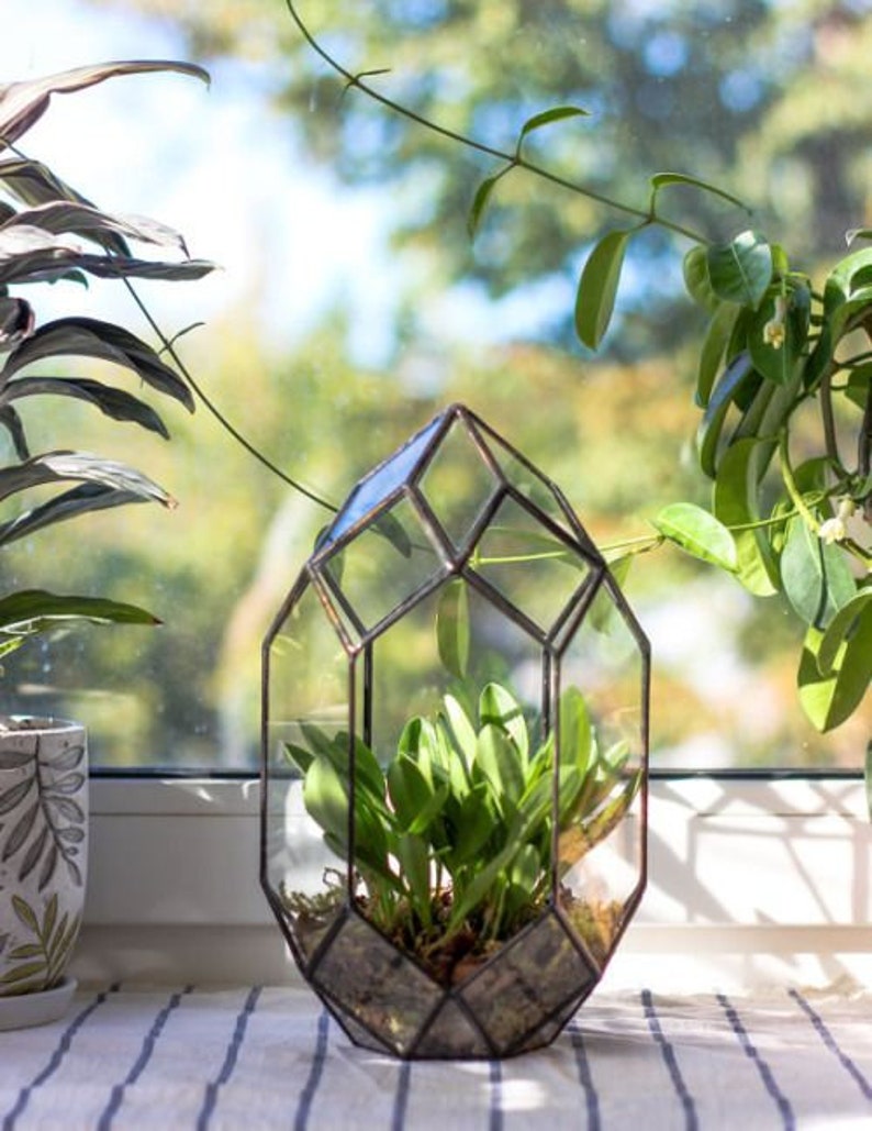 Digital Drawing for Printing! Stained Glass Terrarium. Project 499 - Etsy