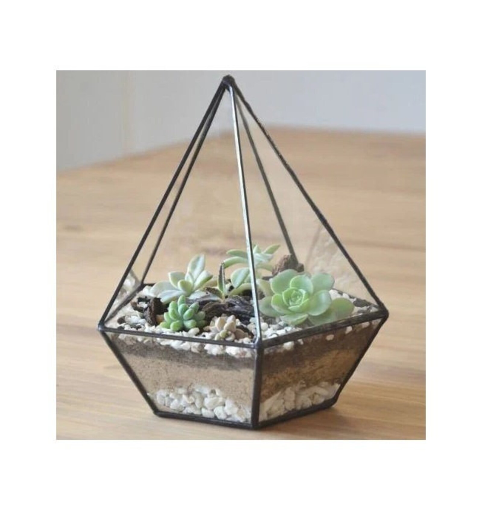 Digital Drawing for Printing! Stained Glass Terrarium. Project 364 - Etsy