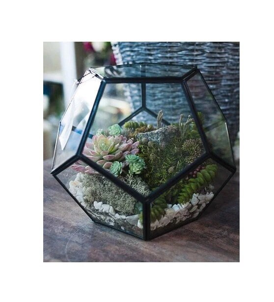 Digital Drawing for Printing! Stained Glass Terrarium. Project 26 - Etsy