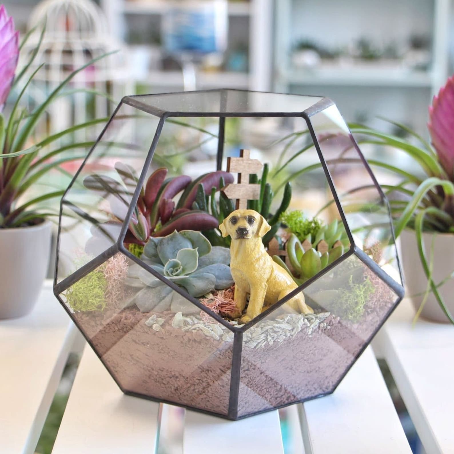 Digital Drawing for Printing! Stained Glass Terrarium. Project 26 - Etsy