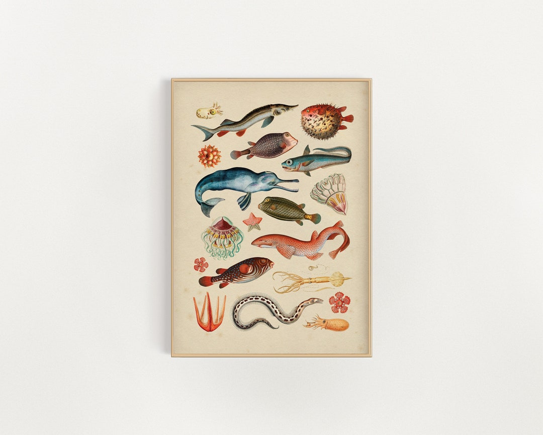 Sea Creatures Art Print | Light Academia Decor | Vintage Oil Painting ...