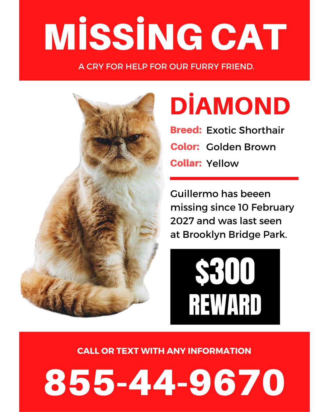 Editable Missing Pet Flyer Template: Lost Dog & Cat Poster (digital ...