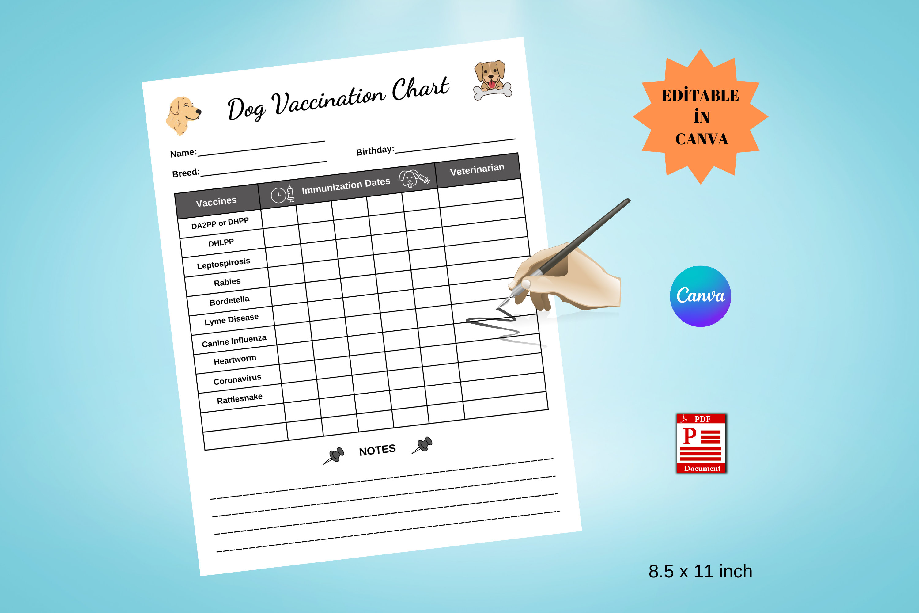 Dog Vaccination Chart Printable: Puppy Immunization Tracker (PDF) - Etsy