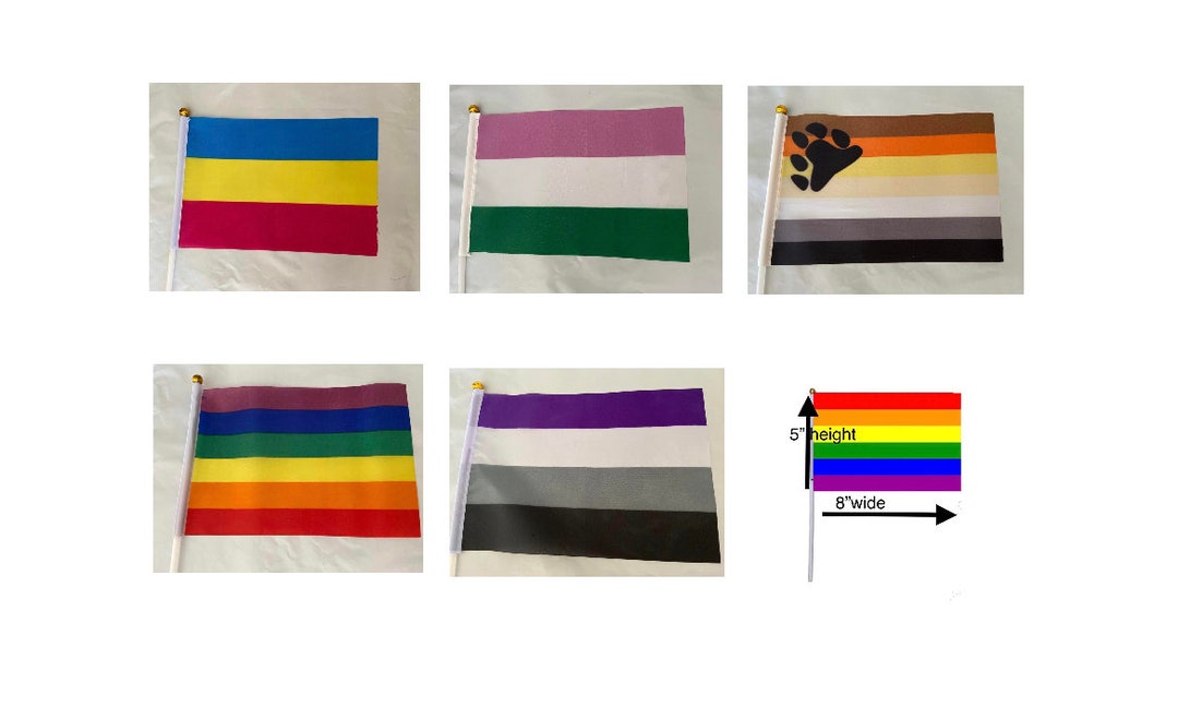Handheld Pride Flags Pride Month Accessory 8 X 5 Inches With - Etsy