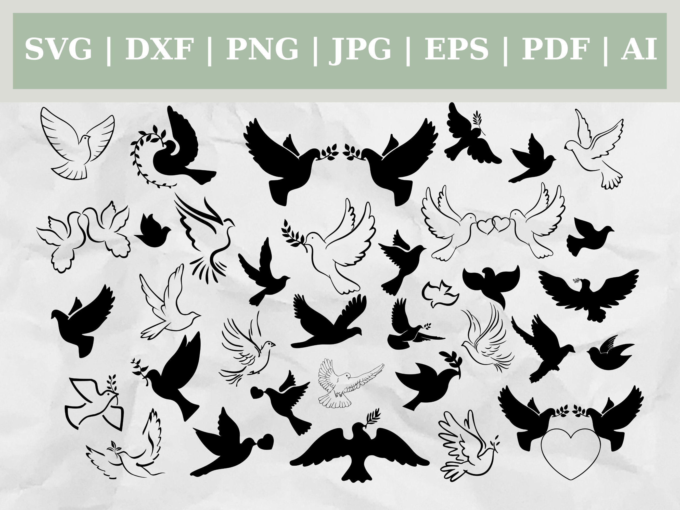 Dove Bundle Cut Files Clipart Vector Svg Dxf Png Jpg Pdf - Etsy
