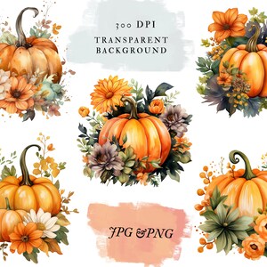 Pumpkin Bundle Halloween Watercolor Clipart 300 DPI Jpg Png Files Solid ...
