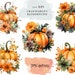 Pumpkin Bundle Halloween Watercolor Clipart 300 DPI Jpg Png Files Solid ...