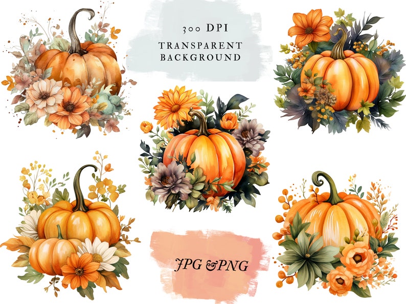 Pumpkin Bundle Halloween Watercolor Clipart 300 DPI Jpg Png Files Solid ...