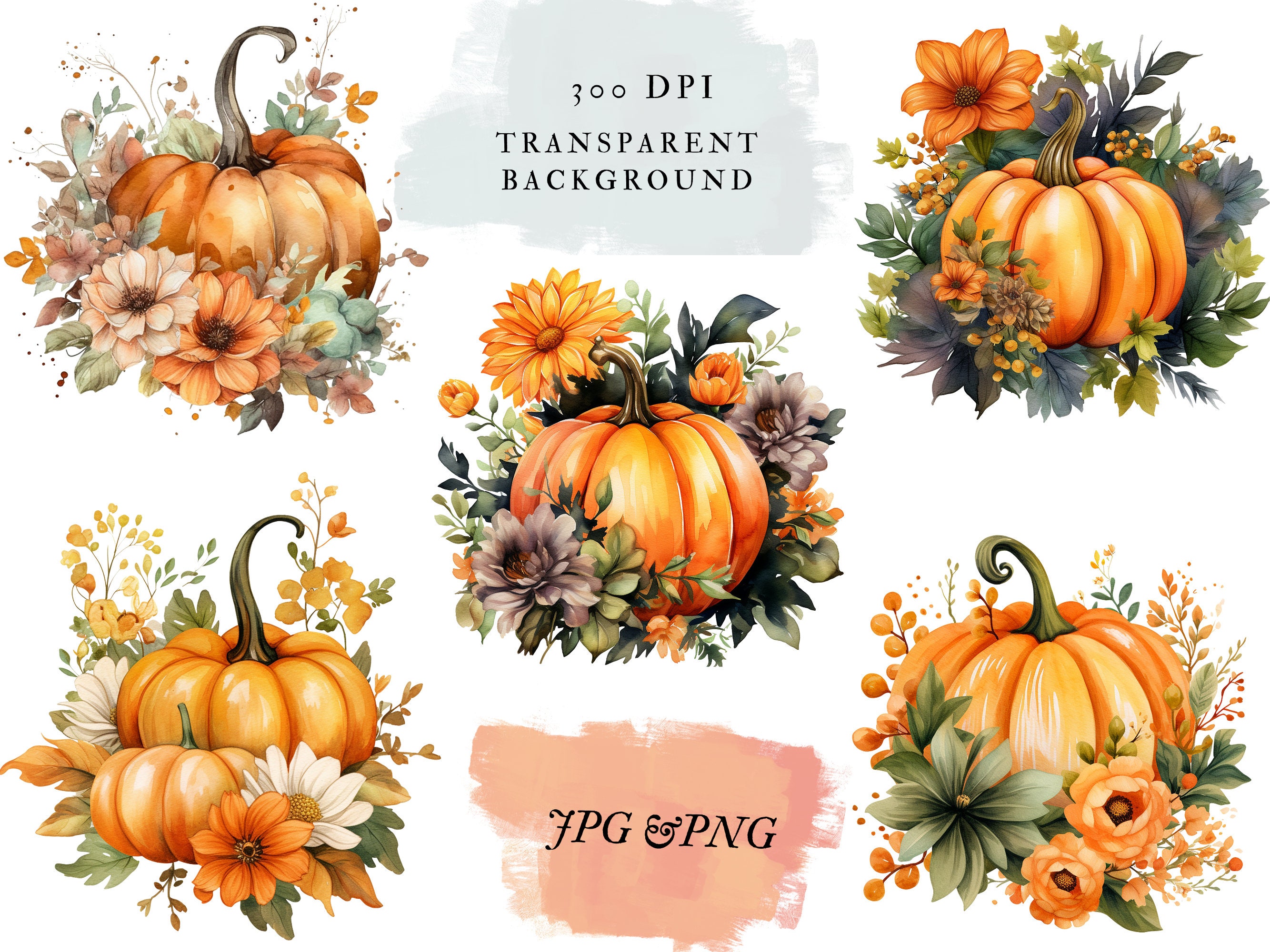 Pumpkin Bundle Halloween Watercolor Clipart 300 DPI Jpg Png Files Solid ...