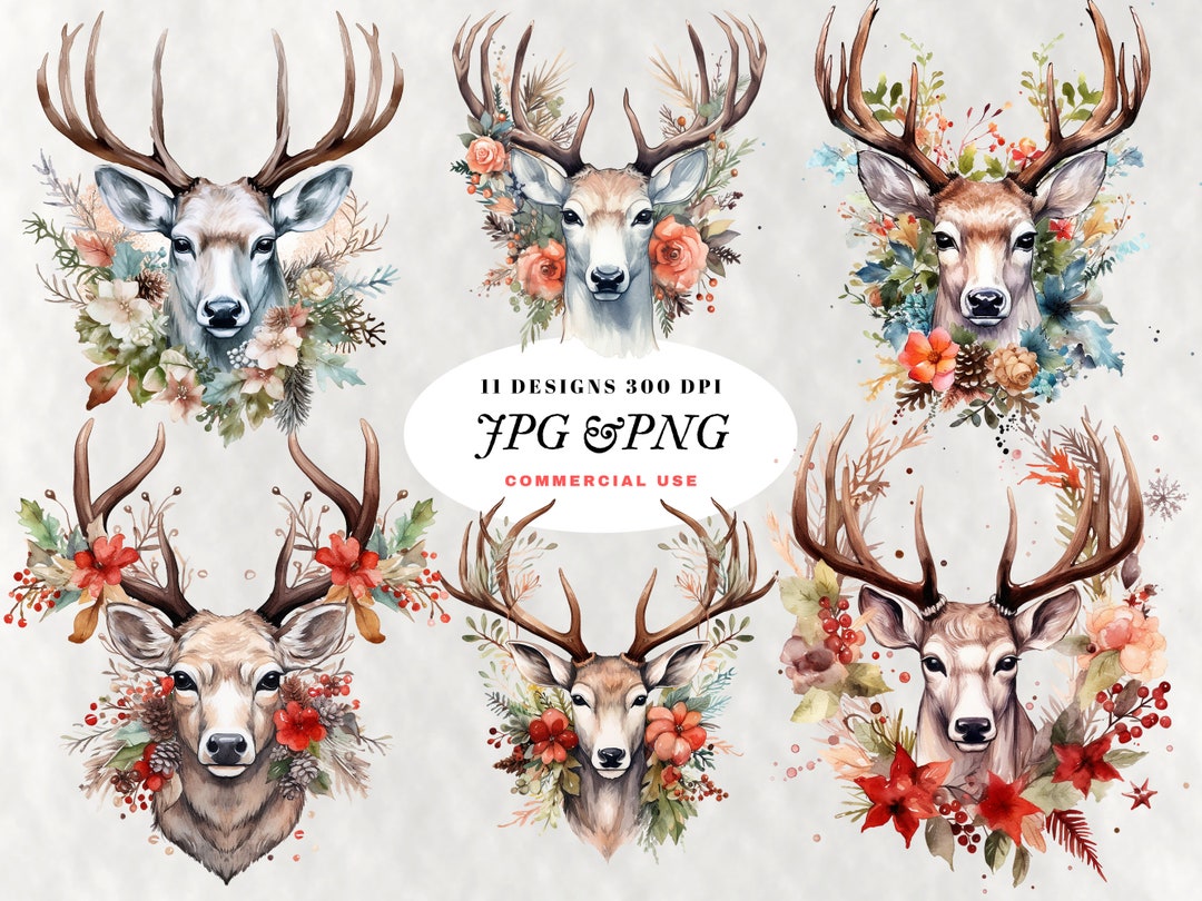 Watercolor Buck Clipart Bundle Deer Floral Illustration PNG and JPG ...
