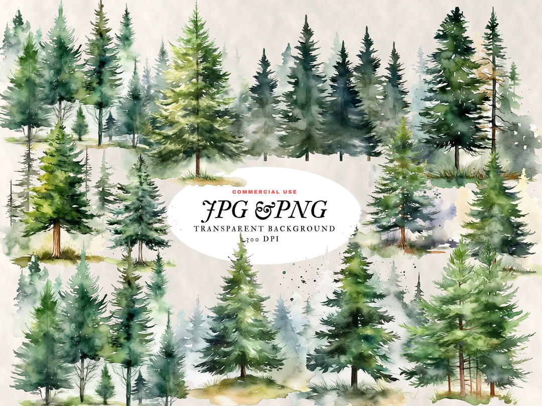 Watercolor Forest Trees Bundle Pine Tree Clip Art Woods Illustration ...