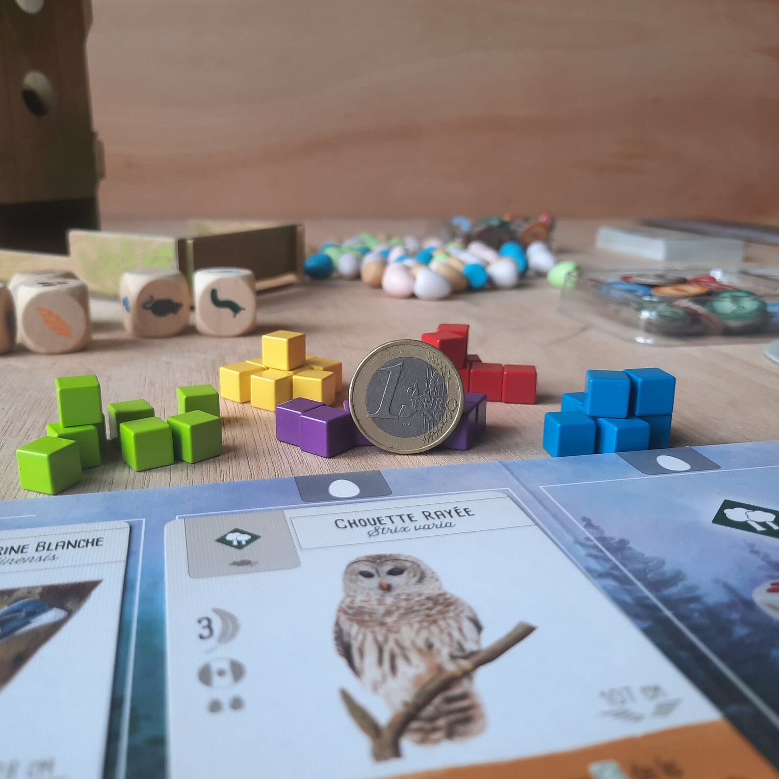 Set of 40 Metal Cubes for Wingspan, 8mm, Same Size and Same Colors as ...