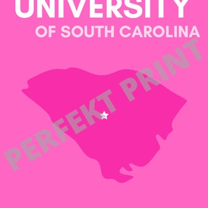 Pink and Orange South Carolina Prints - Etsy