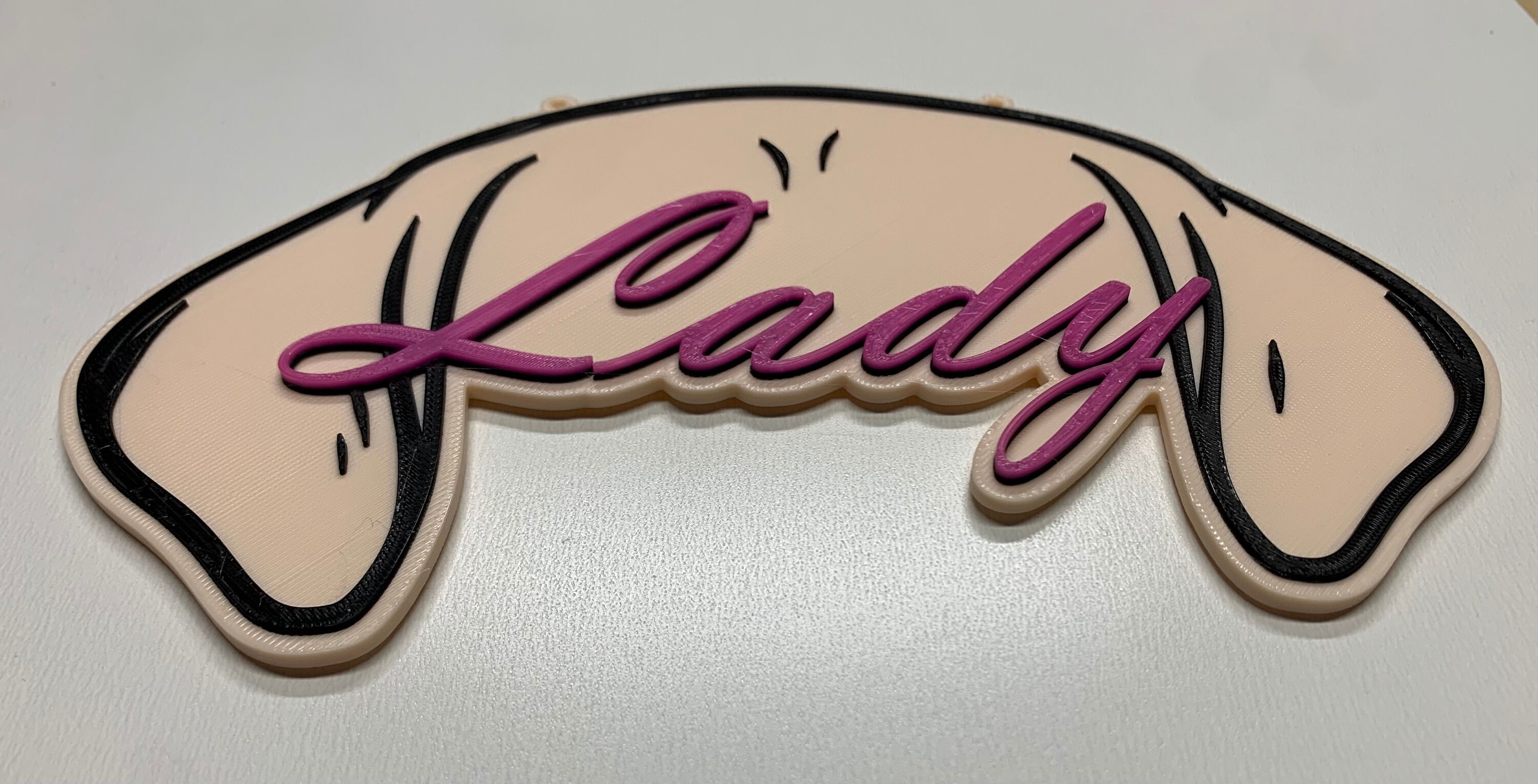 Custom Dog Ear Name Plate 135 Breeds to Choose From Dog Kennel Name Tag ...