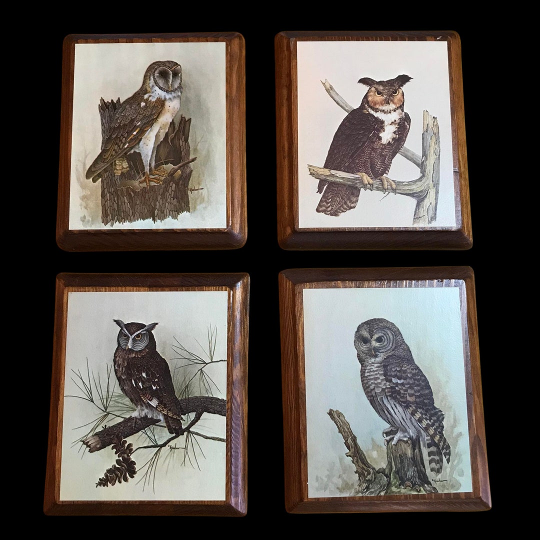 Vintage E. Rambow Owl Prints - Etsy