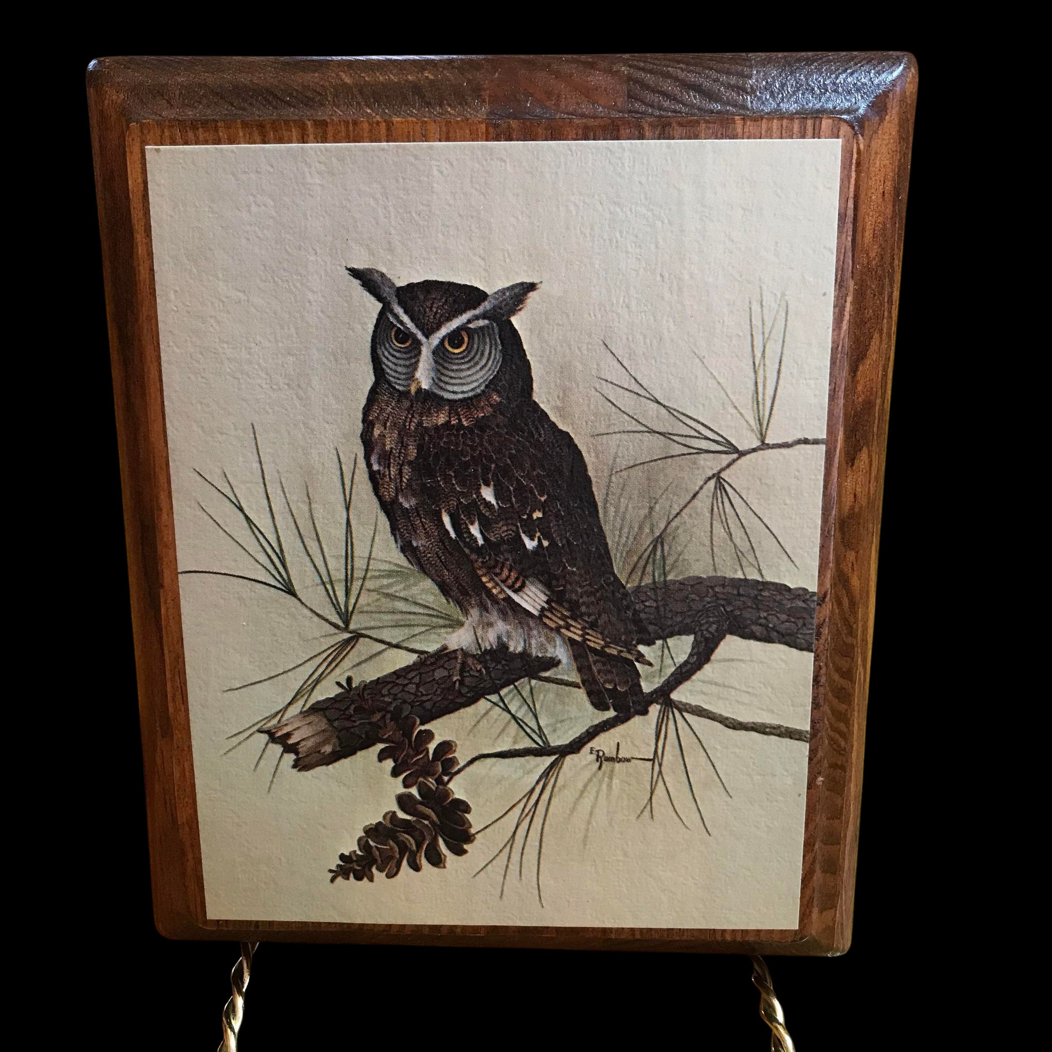Vintage E. Rambow Owl Prints - Etsy