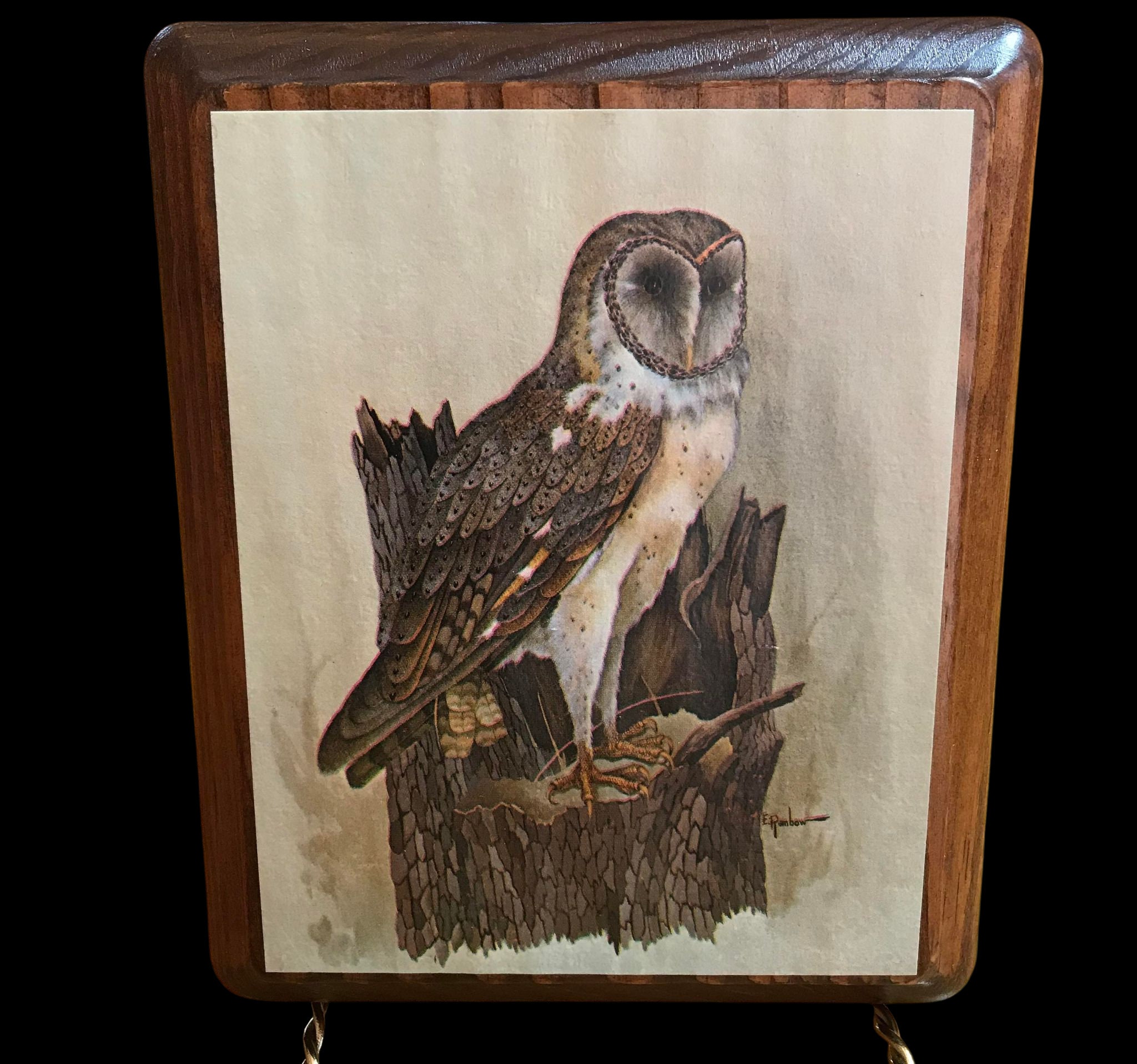 Vintage E. Rambow Owl Prints - Etsy