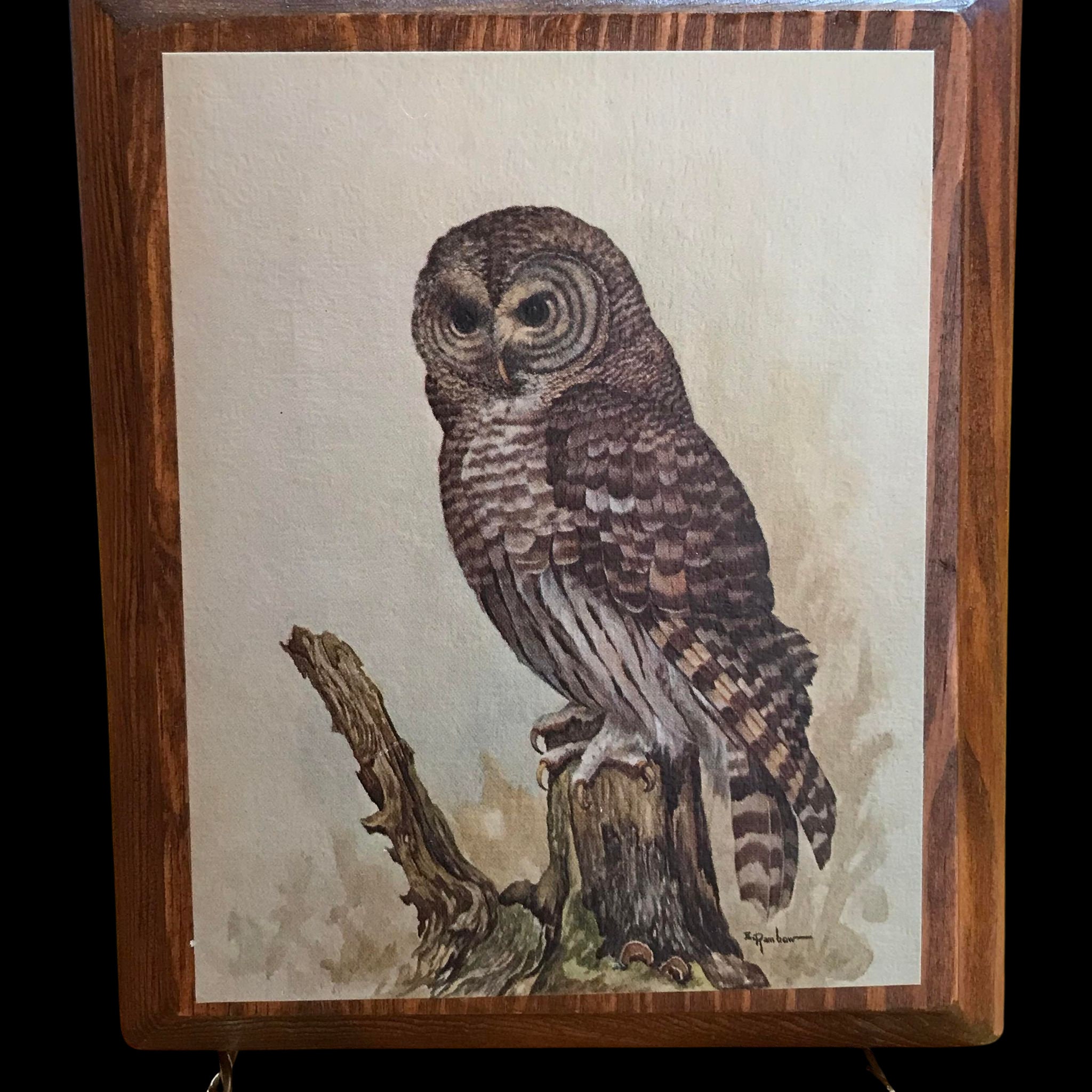 Vintage E. Rambow Owl Prints - Etsy