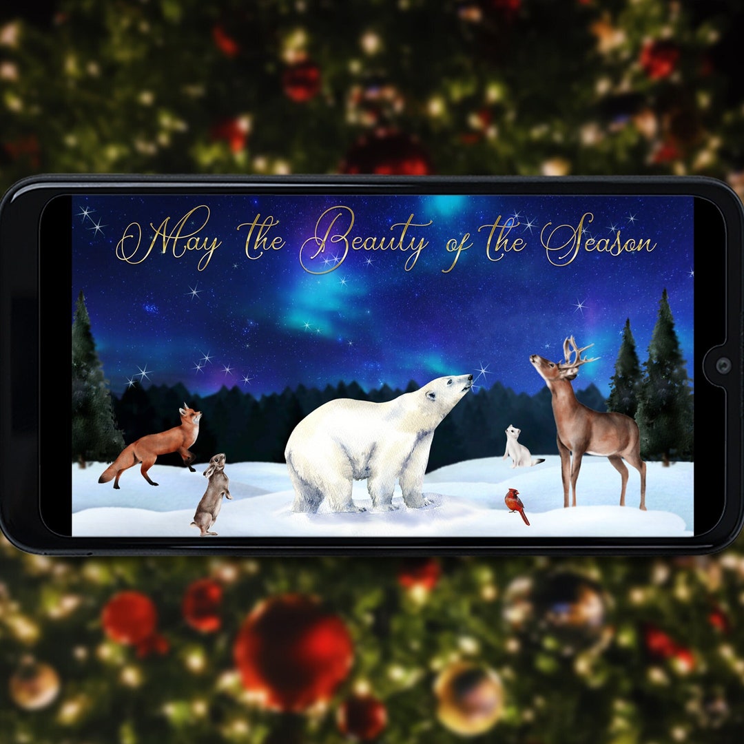 Solstice Greeting Card Animated Video Christmas Card Northern Lights ...
