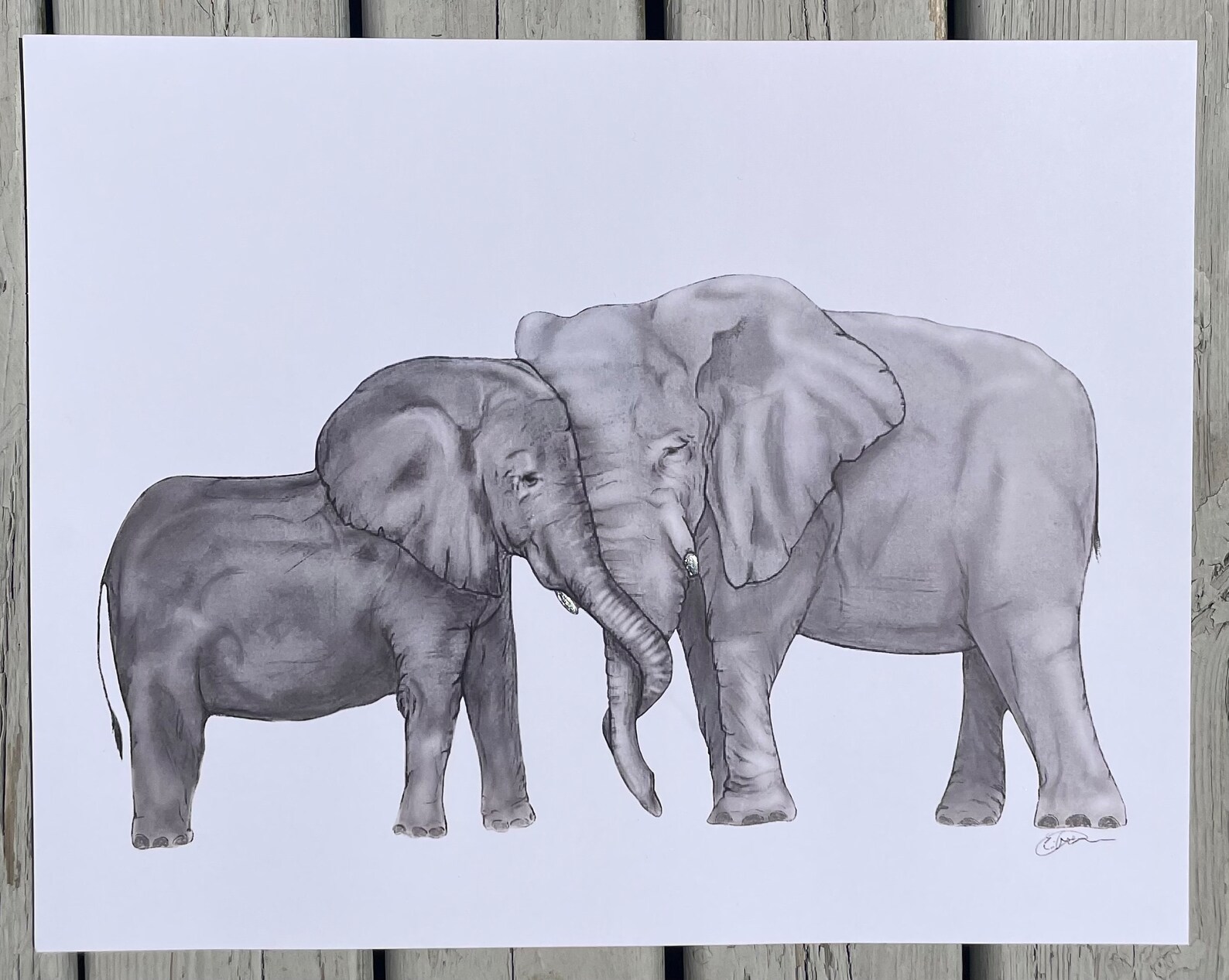 Elephant Hugs - Etsy