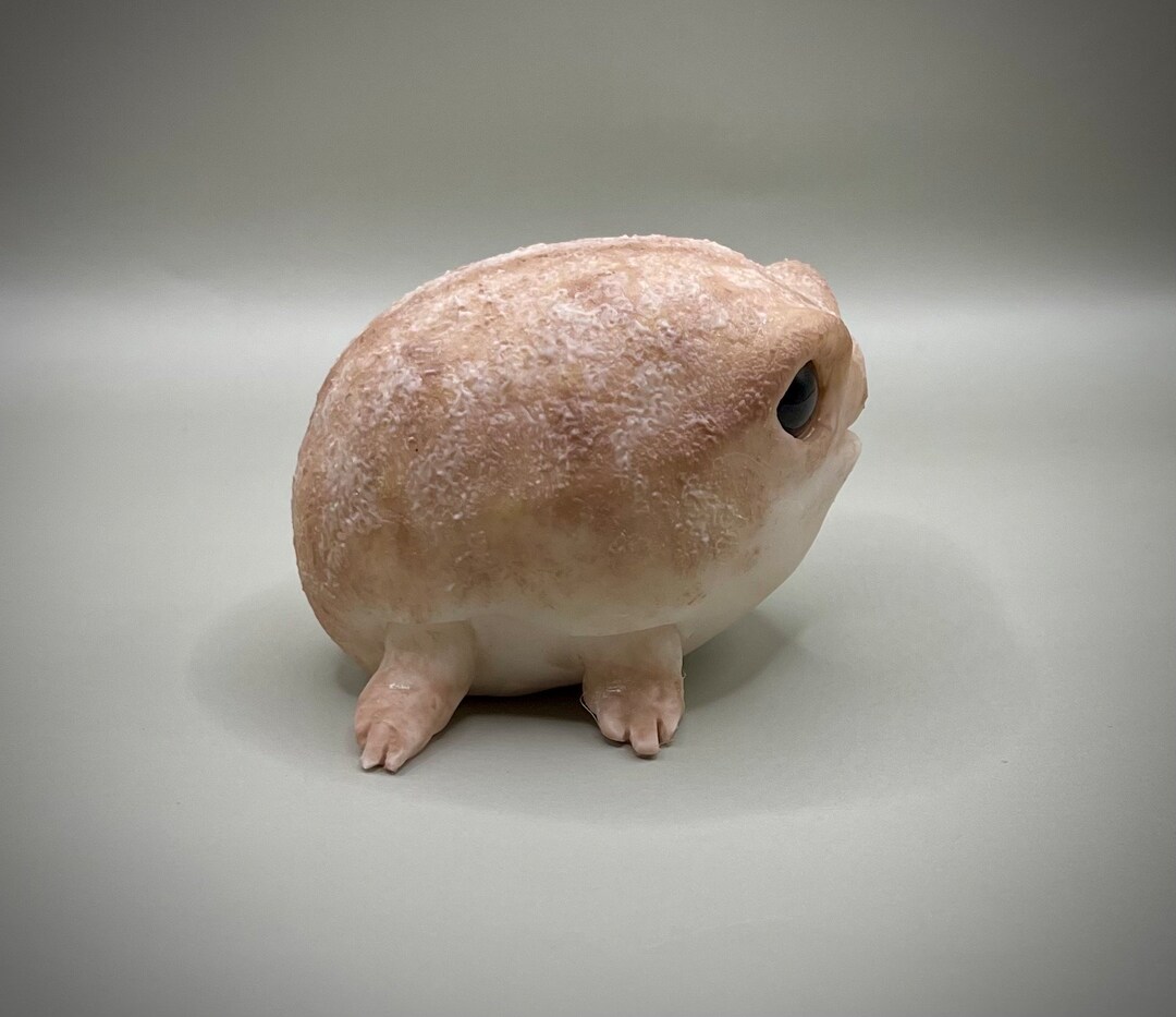 Silicone Desert Rain Frog harold - Etsy