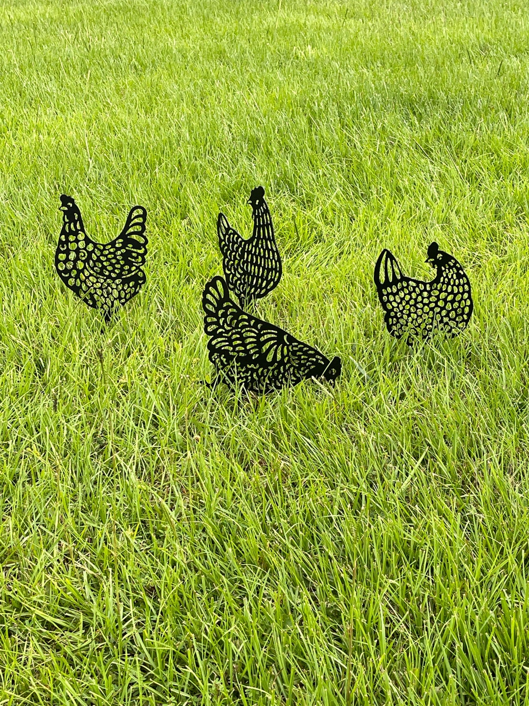 Chicken Yard Art Decoration - Chicken Garden Art - Chicken Decor - Bird ...