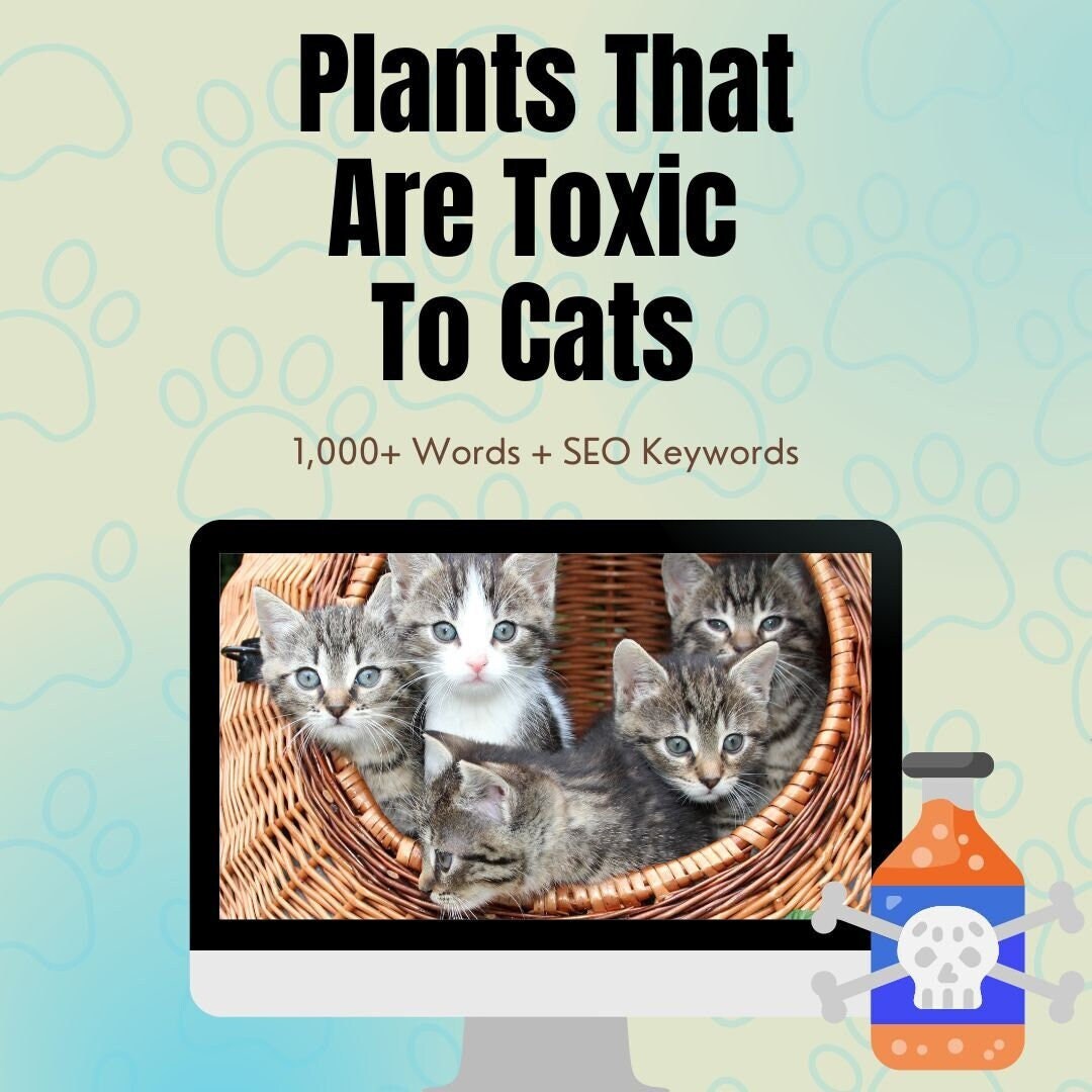 Plants That Are Toxic to Cats PLR Pet PLR PLR Article - Etsy Australia