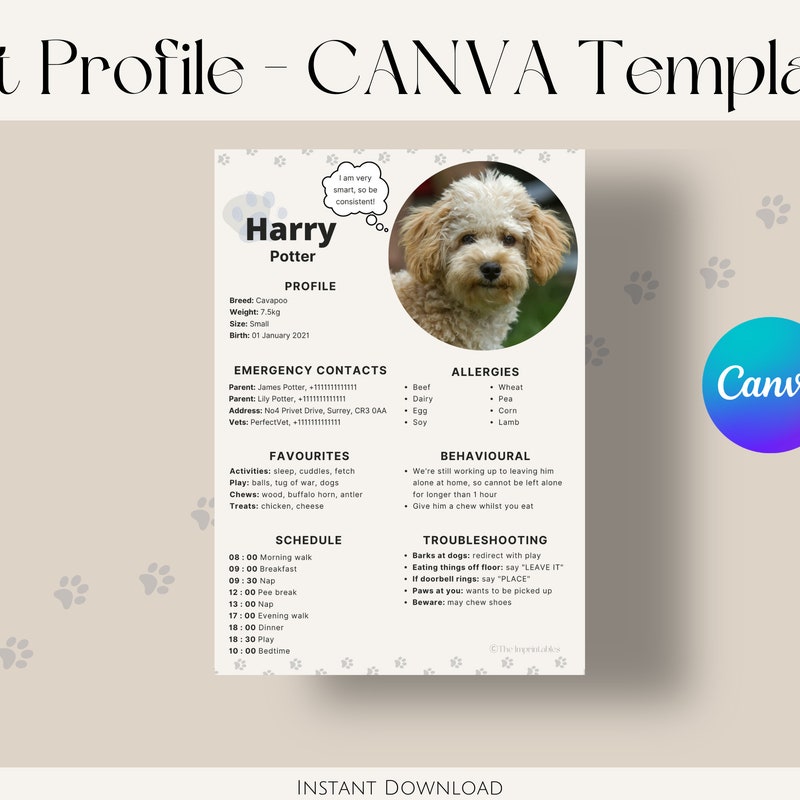 Pet Profile Template - Etsy