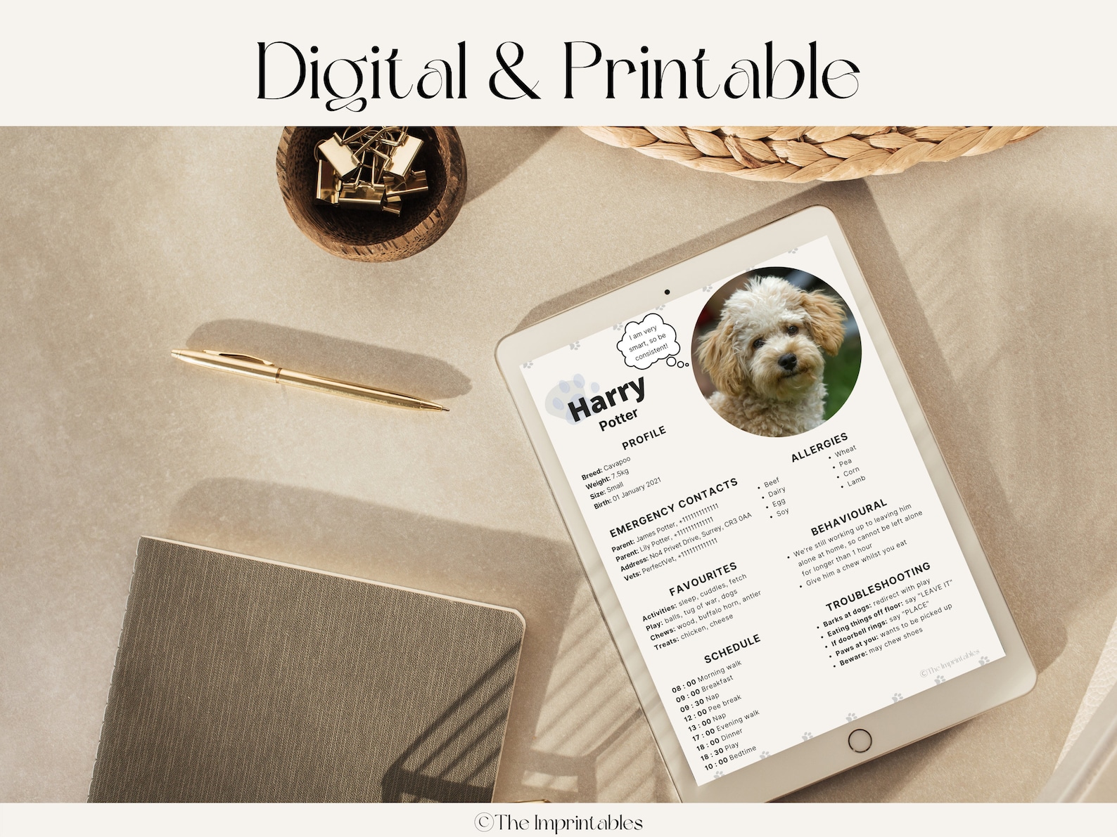 Pet Profile CANVA Template Printable | Instant Digital Download | Pet ...