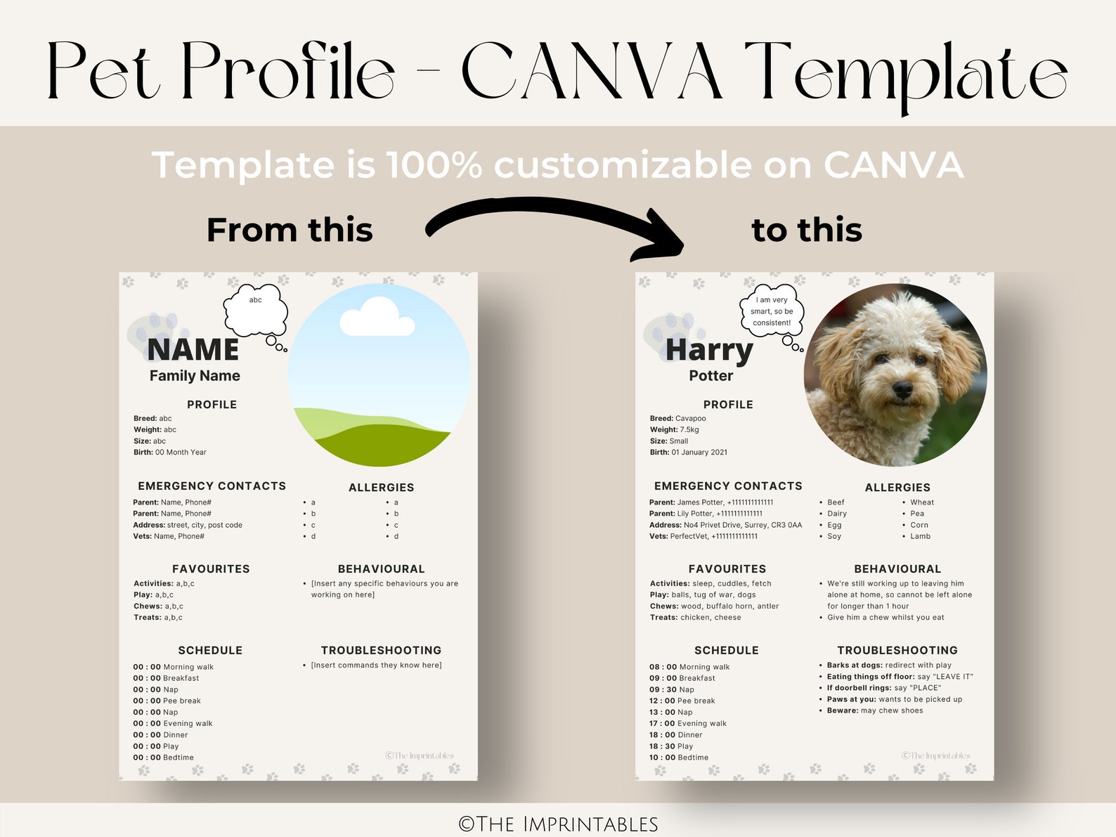 Pet Profile CANVA Template Printable | Instant Digital Download | Pet ...