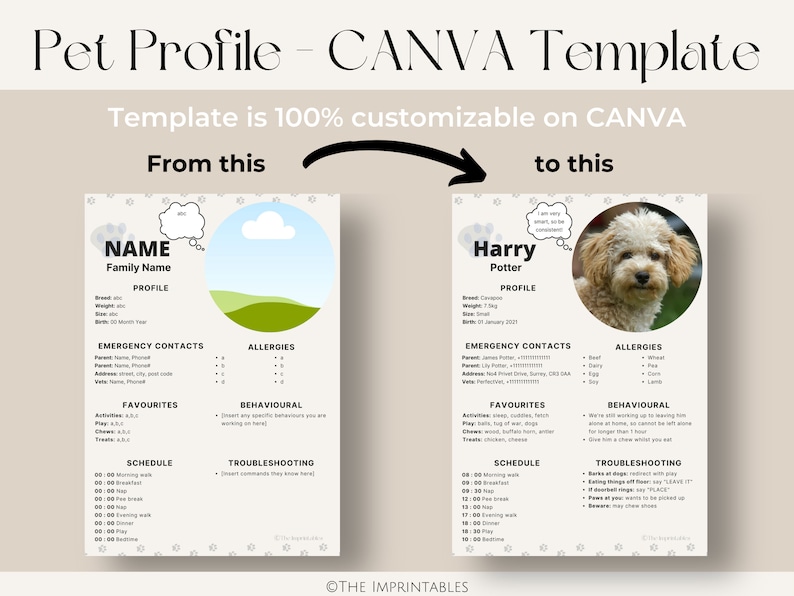 Pet Profile CANVA Template Printable | Instant Digital Download | Pet ...